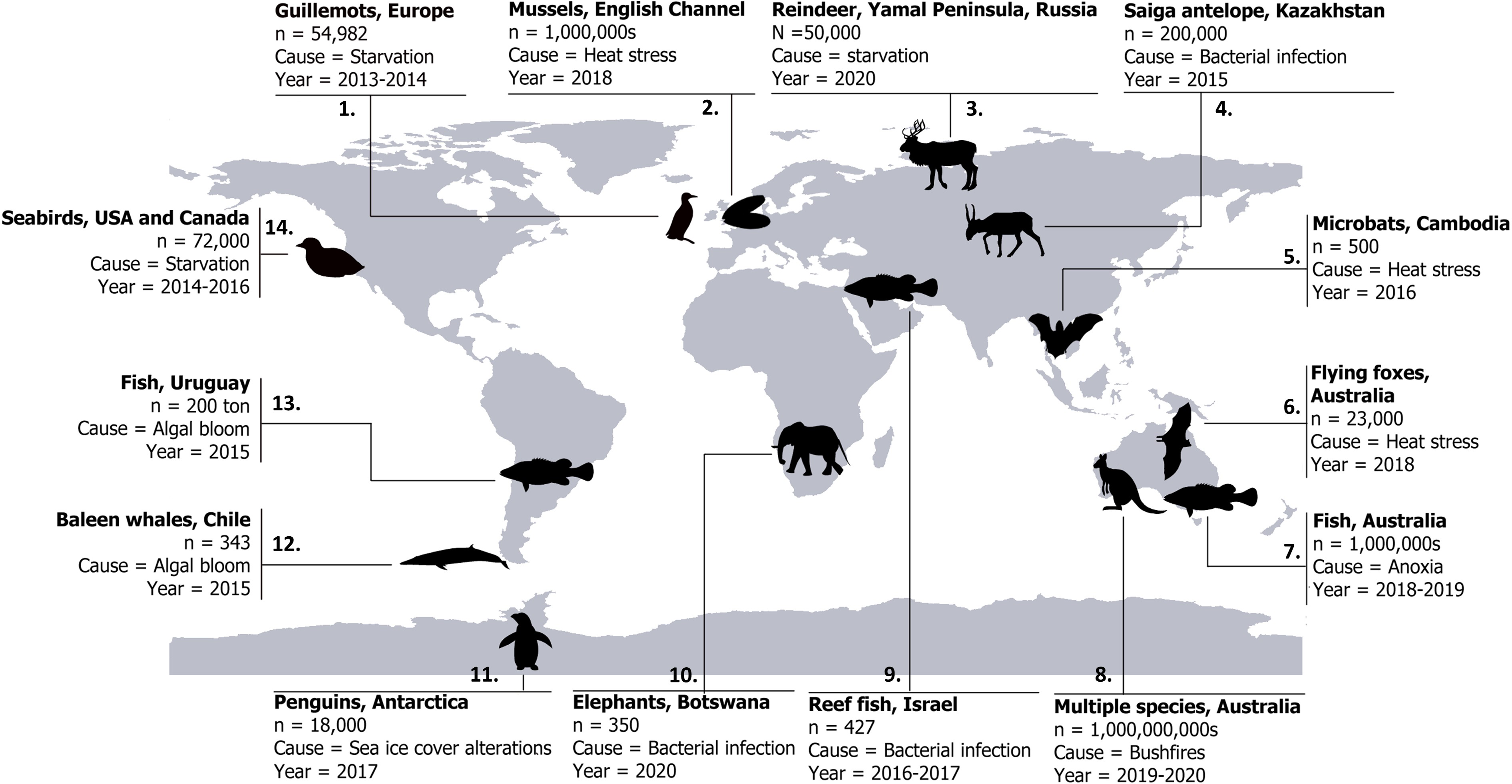 Climate-driven animal mass mortality events: is there a role for ...