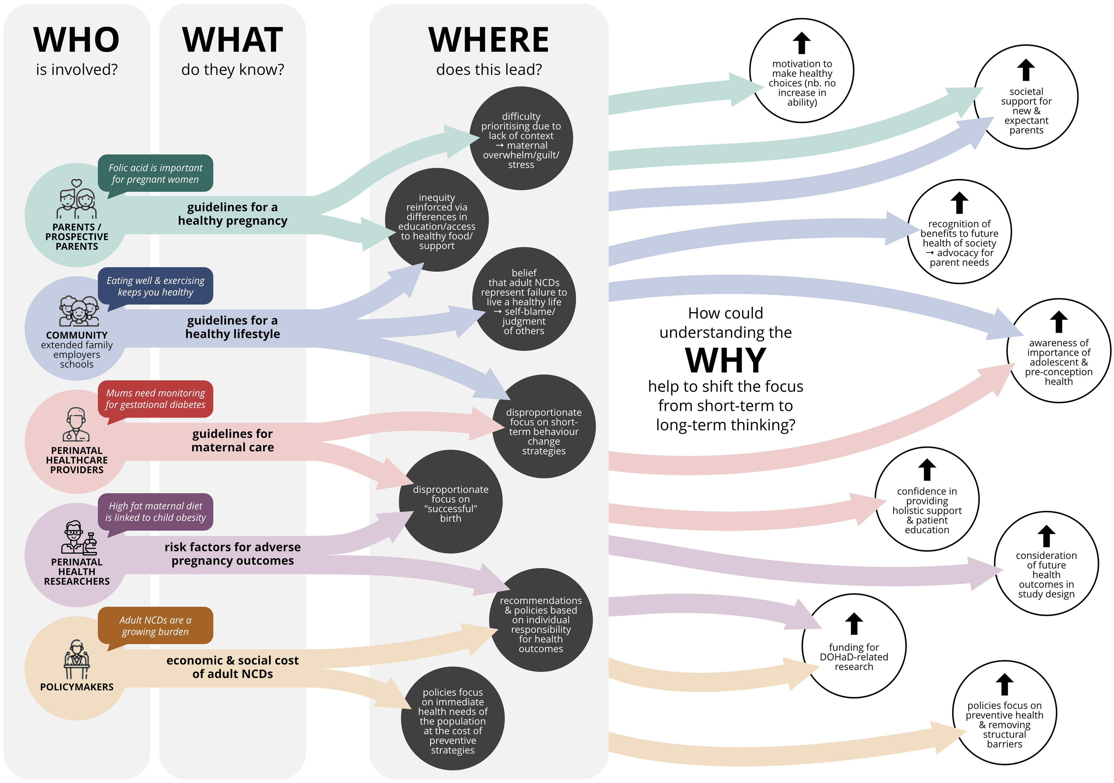Understanding the importance of the early-life period for adult health ...