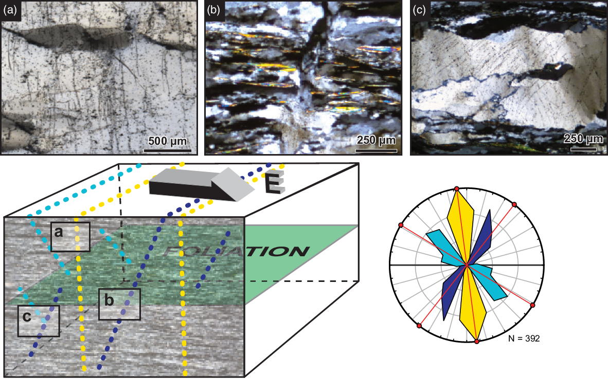 Role of fluids on deformation in mid-crustal shear zones, Raft River ...