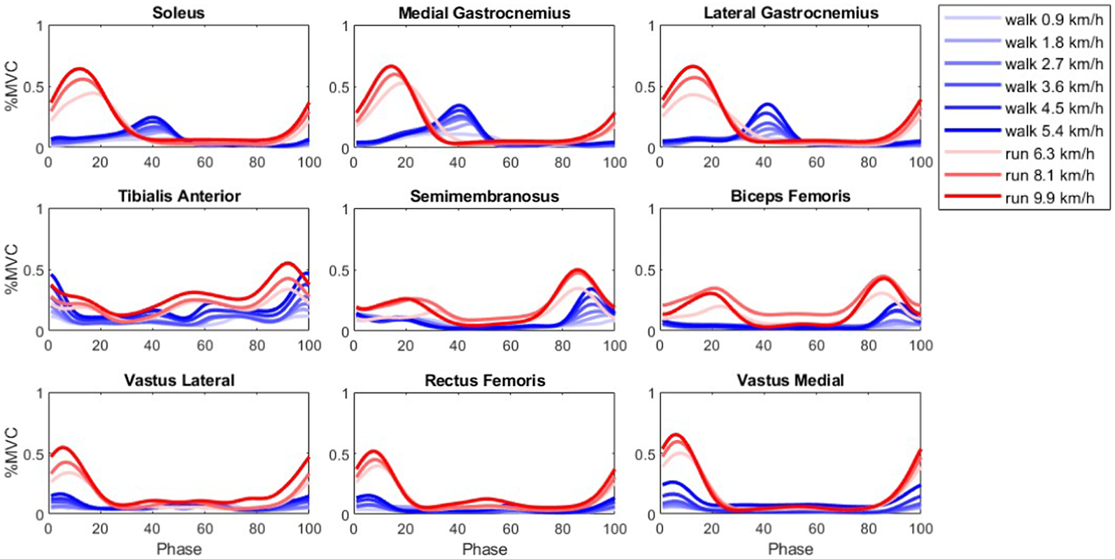 A wearable real-time kinetic measurement sensor setup for human ...