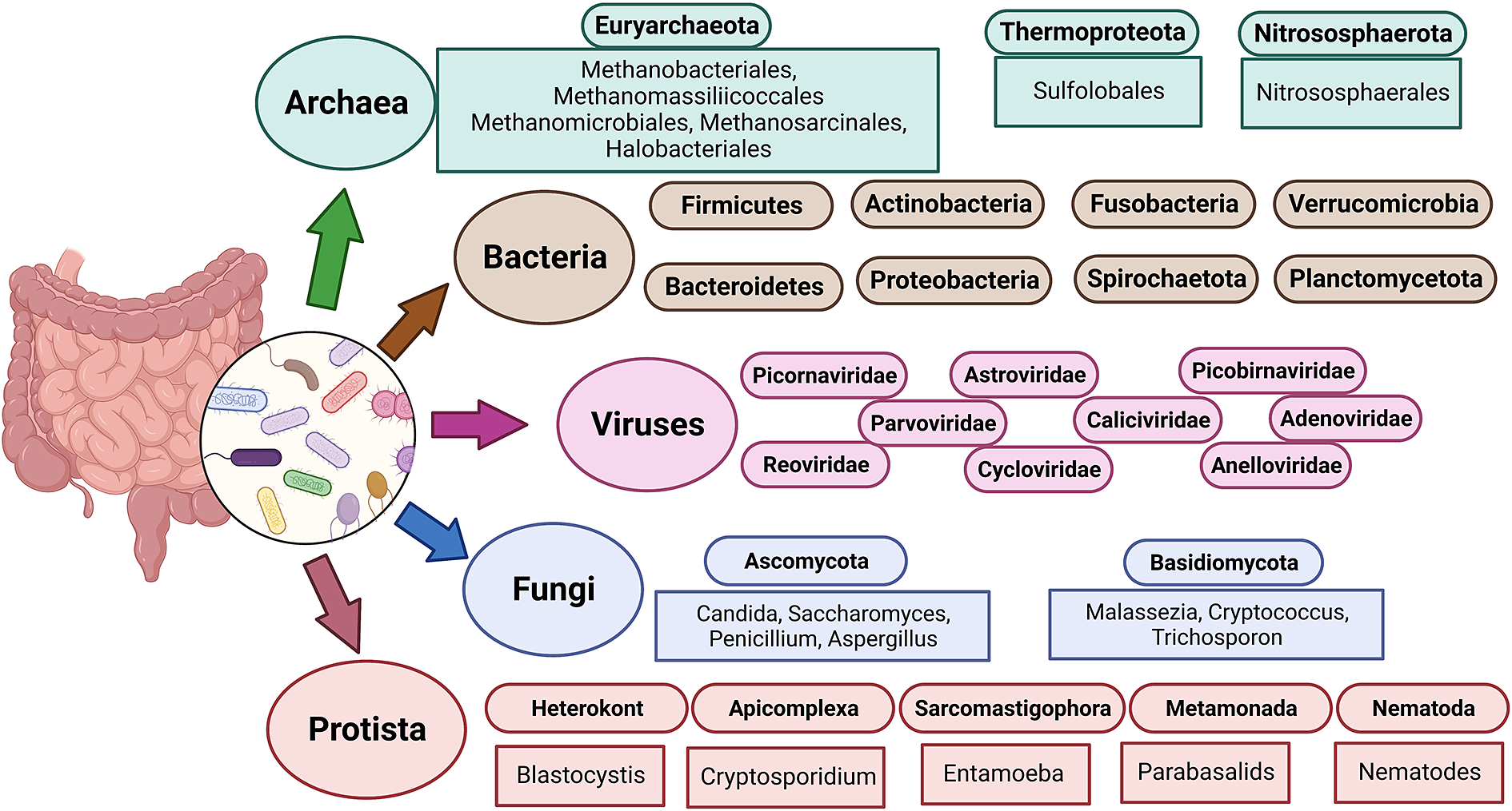 Toxin-linked mobile genetic elements in major enteric bacterial ...