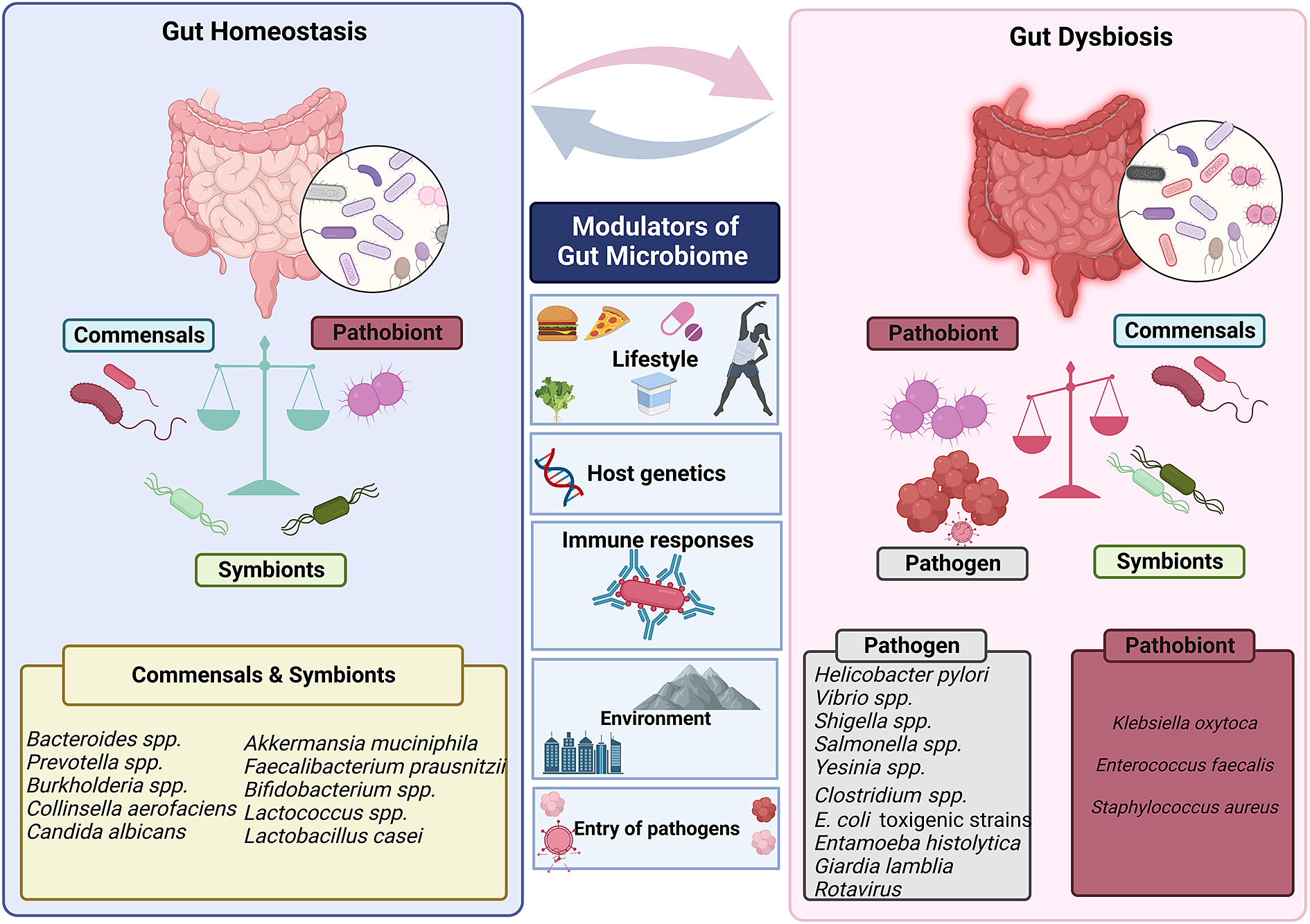 Toxin-linked mobile genetic elements in major enteric bacterial ...