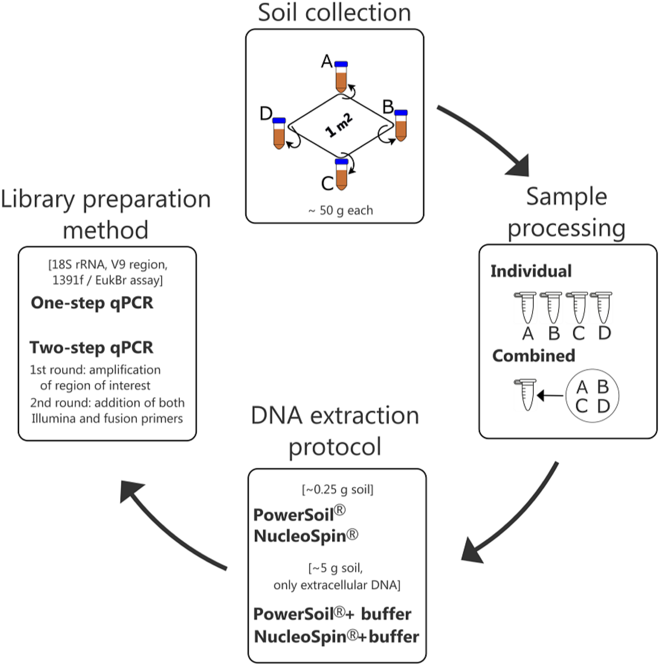 Soil environmental DNA metabarcoding in low-biomass regions requires ...