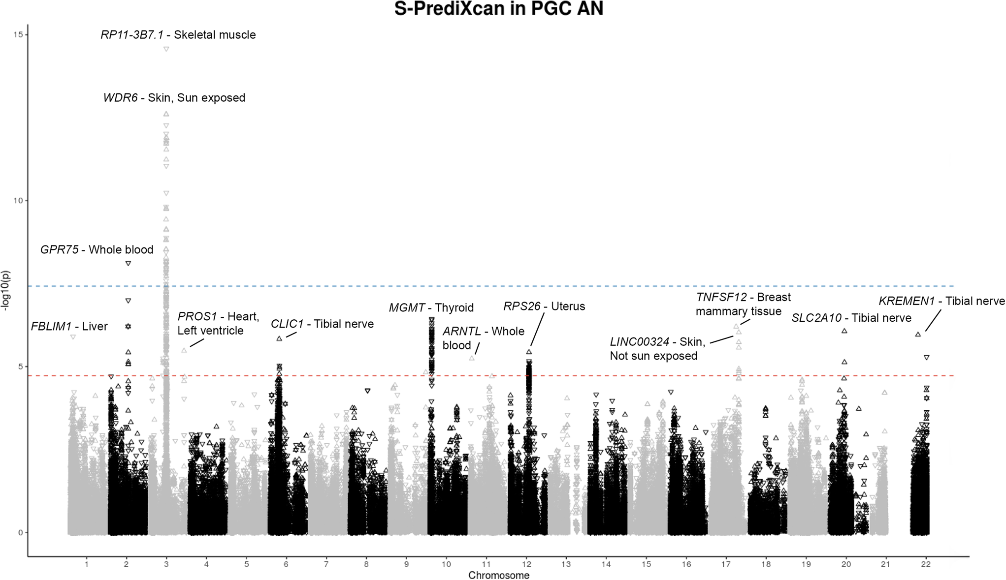 Mapping anorexia nervosa genes to clinical phenotypes | Psychological ...