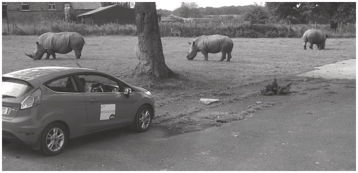 Zoos and Research (Chapter 1) - Zoo Studies