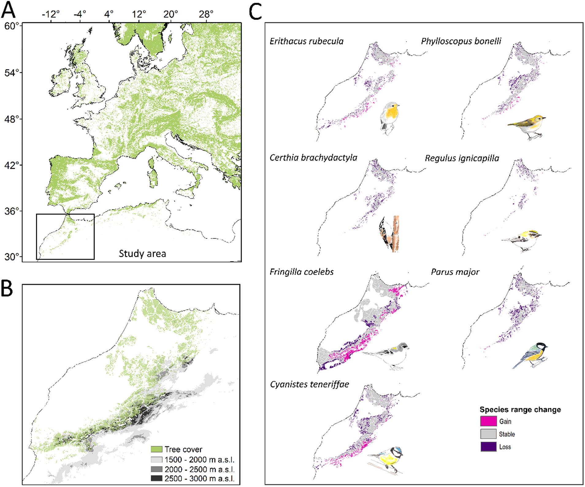 Landscape effects on the conservation of rear-edge populations of ...