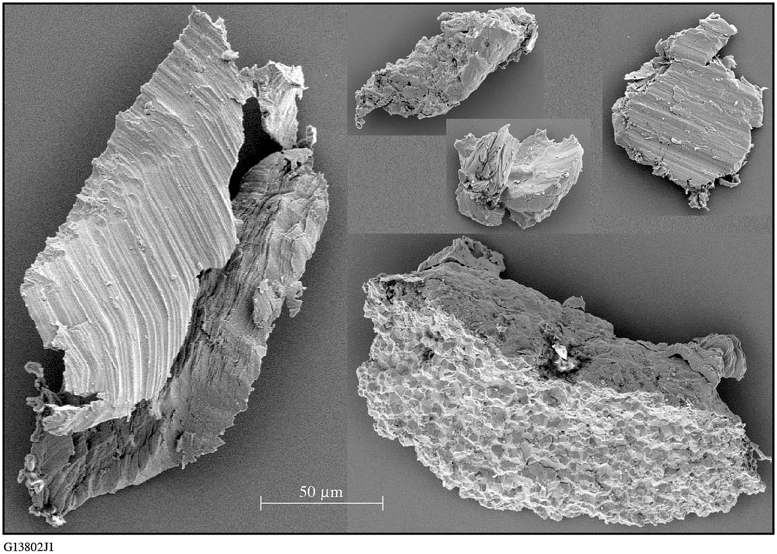 Monitoring and characterization of particle contamination in the pulse ...