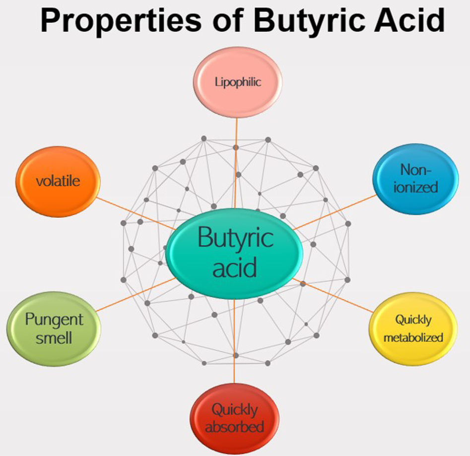 Applications of butyric acid in poultry production: the dynamics of gut ...