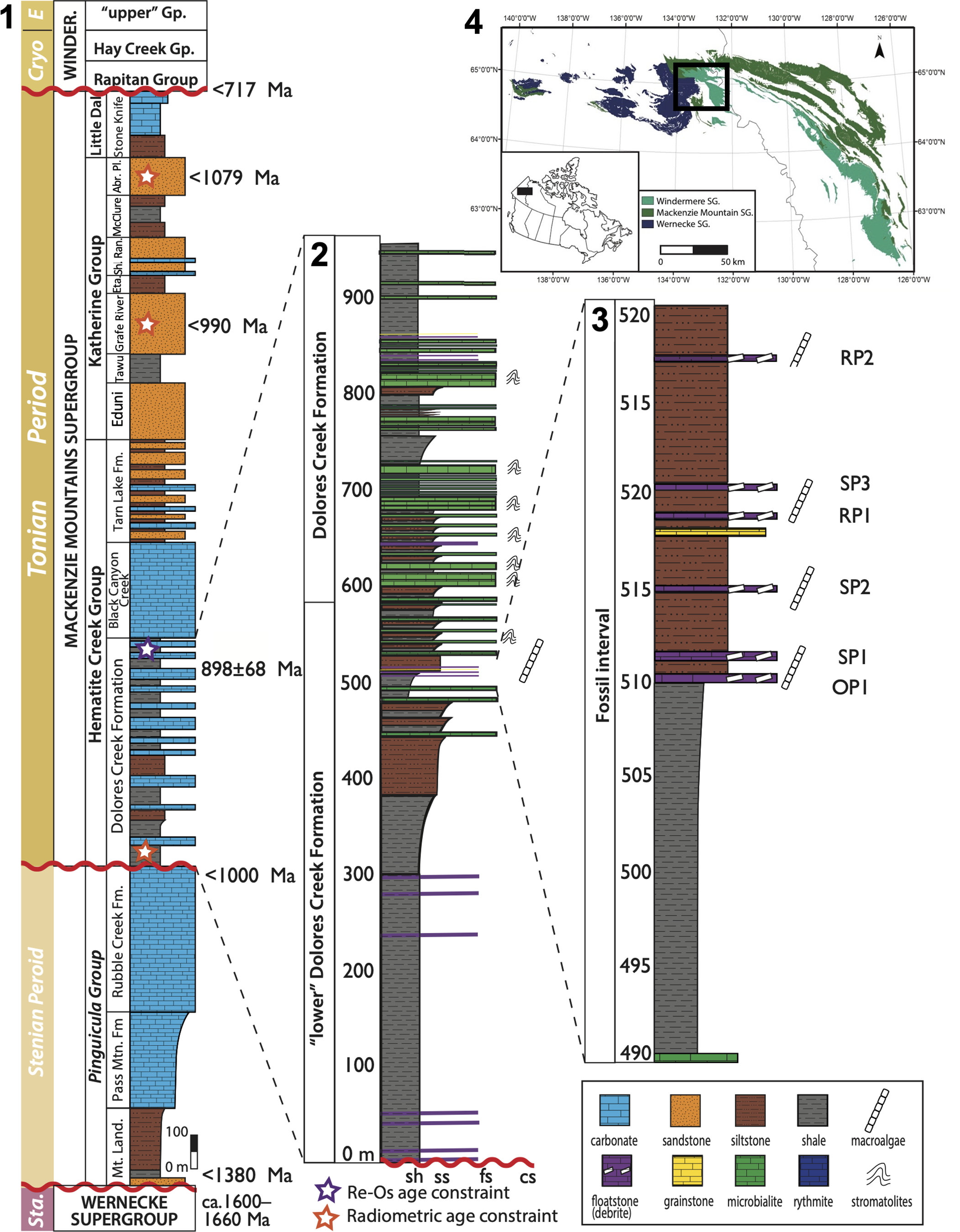 Systematic paleontology of macroalgal fossils from the Tonian Mackenzie ...