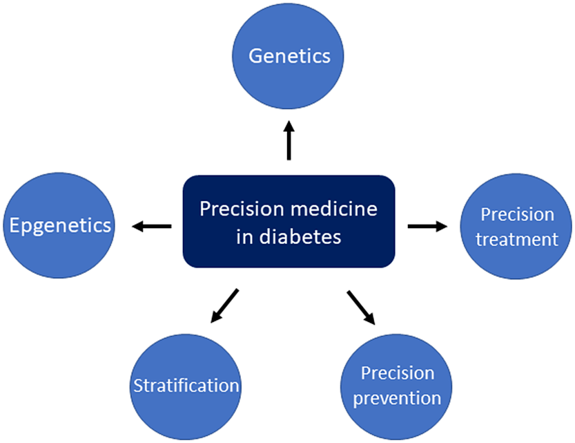 Updates of precision medicine in type 2 diabetes | Cambridge Prisms ...