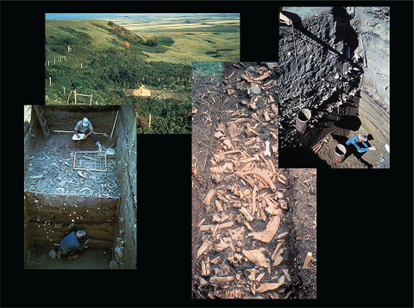 The Country They Built: Dynamic and Complex Indigenous Economies in ...