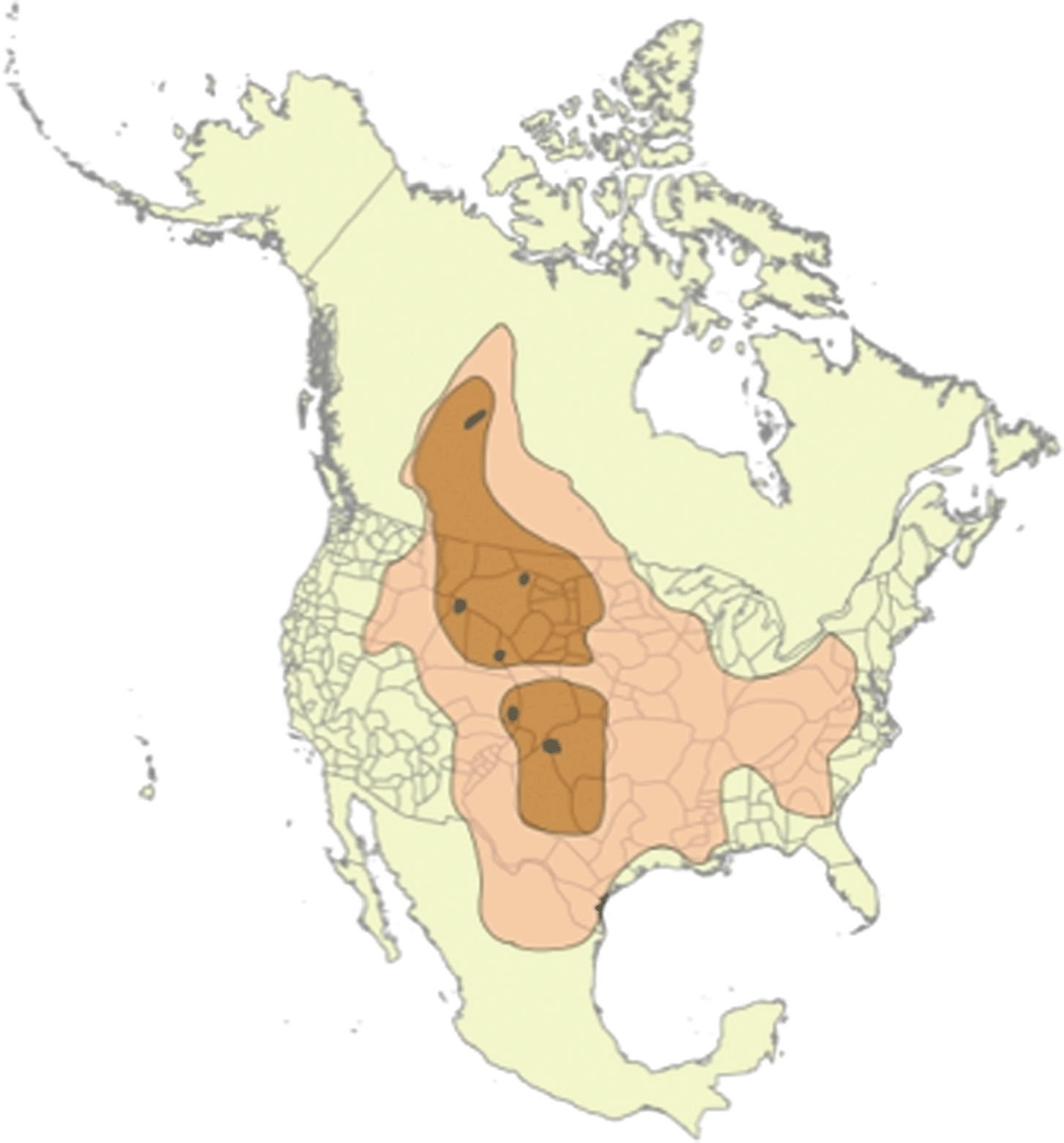 The Country They Built: Dynamic and Complex Indigenous Economies in ...