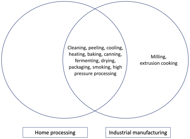 Processing in the food chain: do cereals have to be processed to add ...