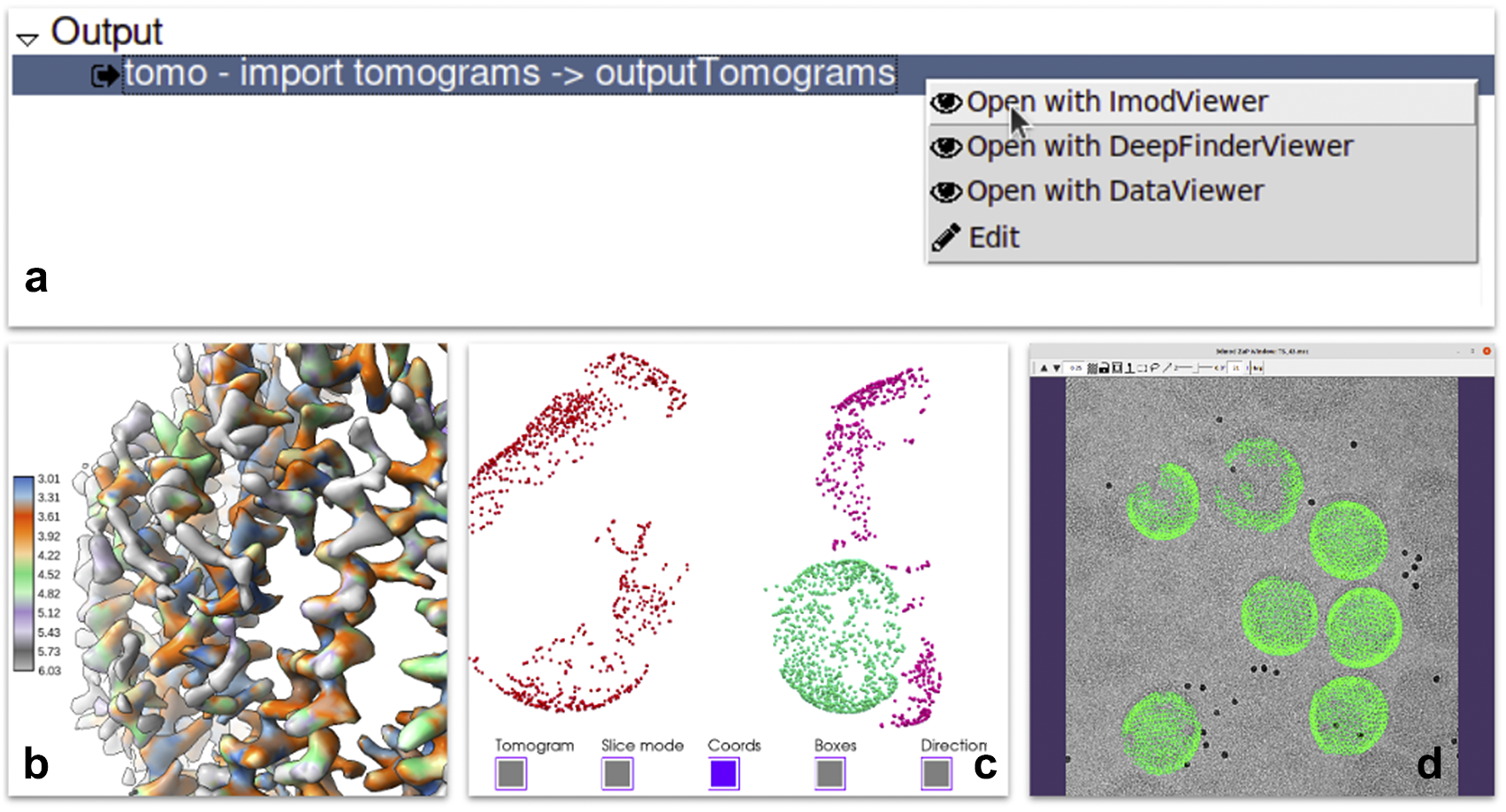 Scipion3: A workflow engine for cryo-electron microscopy image ...