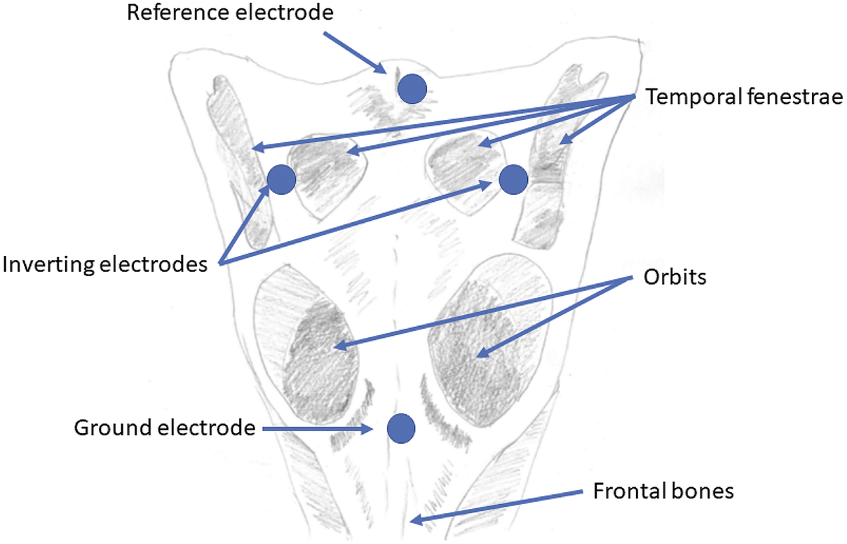 Evaluation of a commercial electrical stunning method for farmed grower ...
