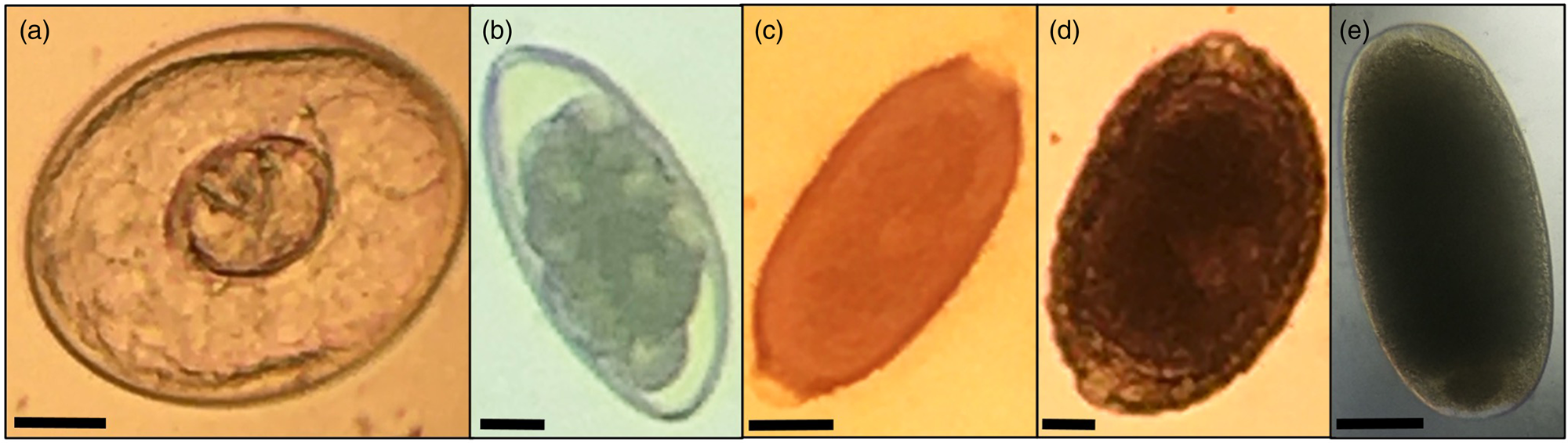 Epidemiology of protozoan and helminthic parasites in wild passerine ...
