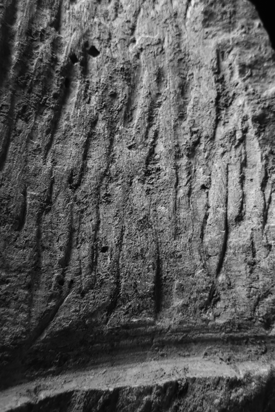 Animal Scavenging as Social Metaphor: A Carved Chlorite Vessel of the ...