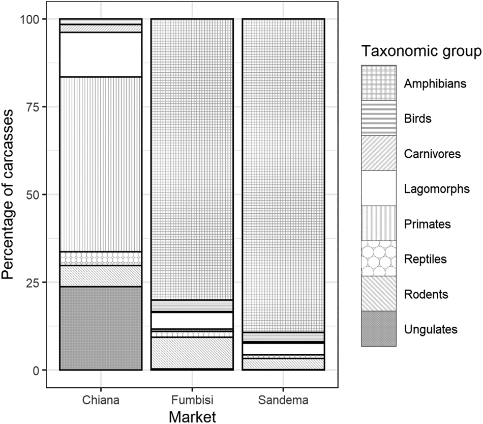 The bushmeat trade in northern Ghana: market dynamics, drivers of trade ...
