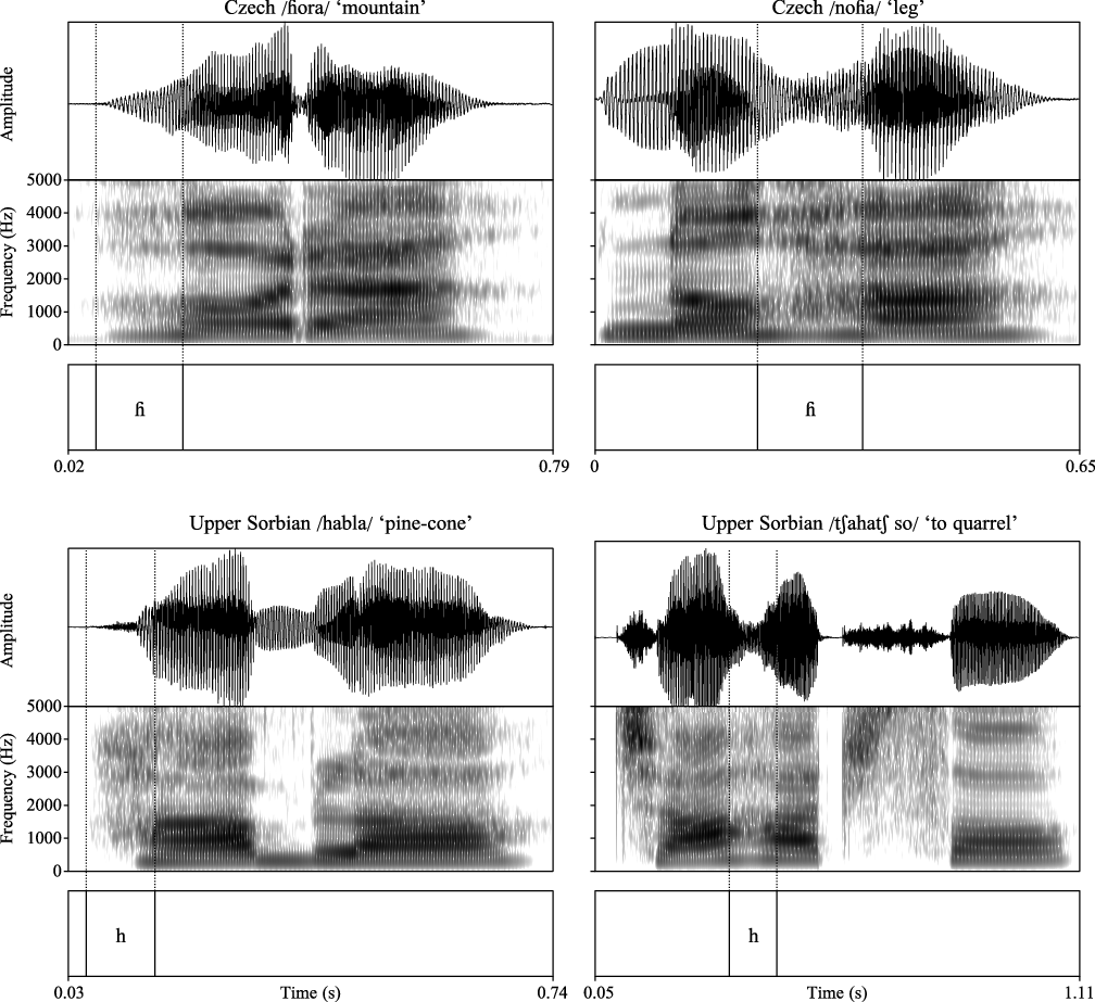Voicing of glottal consonants and non-modal vowels | Journal of the ...