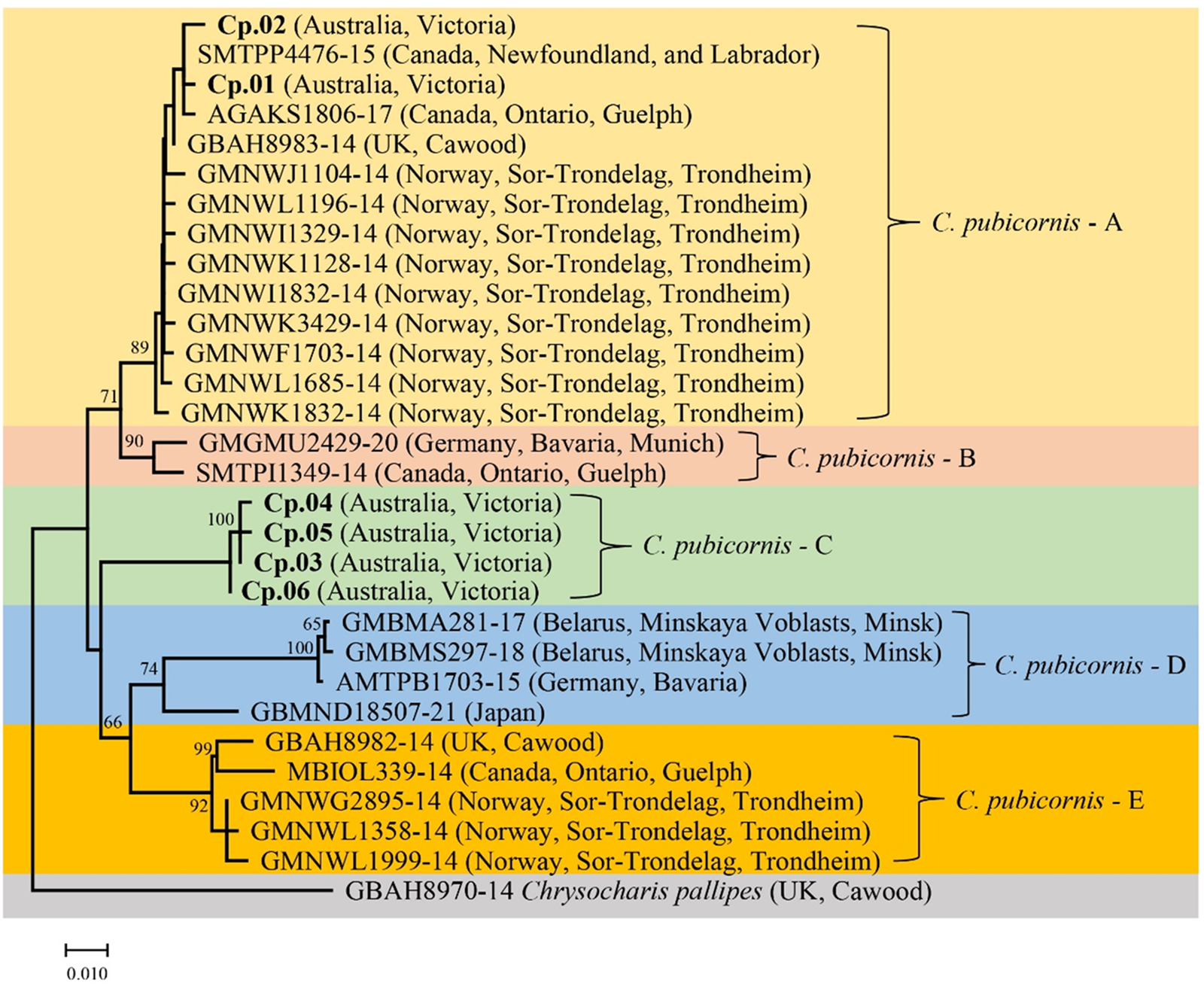Molecular identification of hymenopteran parasitoids and their ...