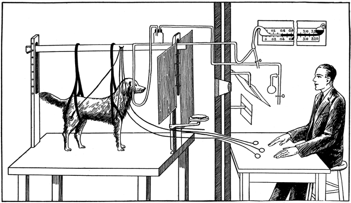 Ivan Pavlov, Conditioned Reflexes and Experimental Neuroses (Chapter 1 ...