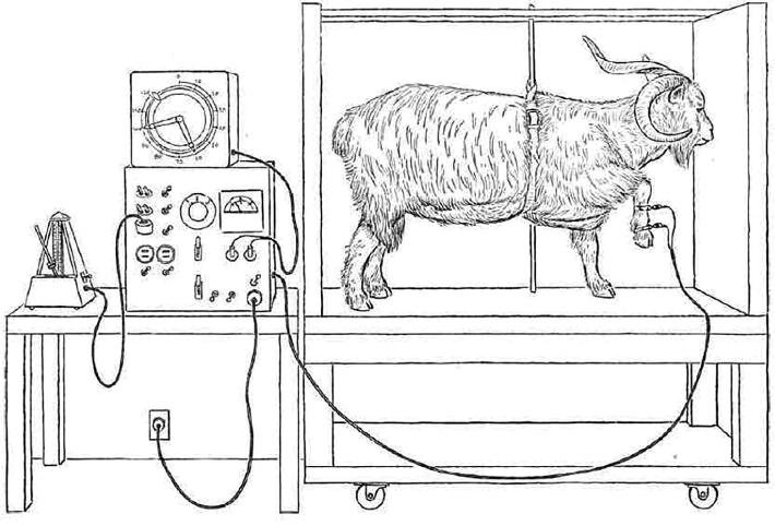 Ivan Pavlov, Conditioned Reflexes and Experimental Neuroses (Chapter 1 ...