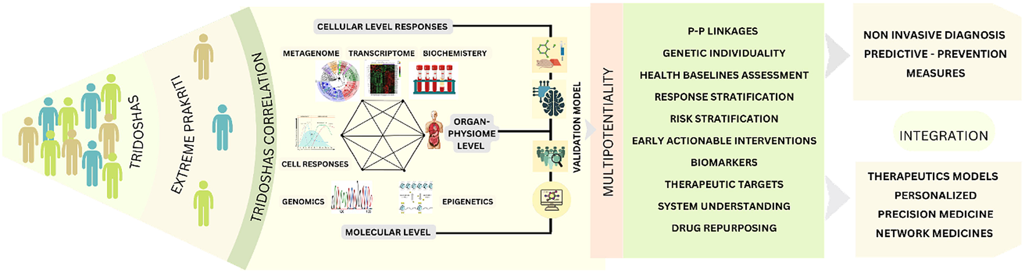 Ayurgenomics-based frameworks in precision and integrative medicine ...