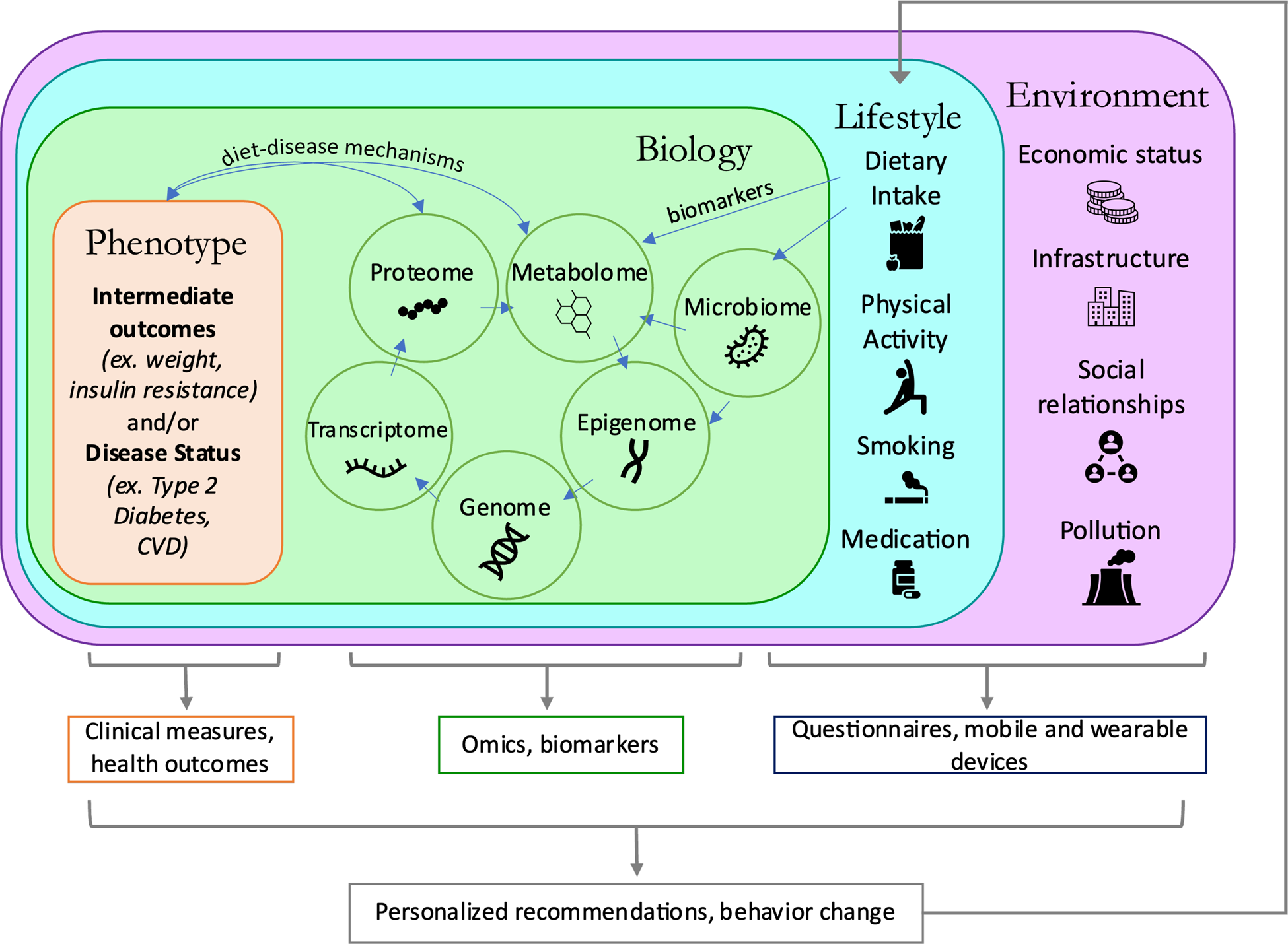 Utilising the precision nutrition toolkit in the path towards precision ...