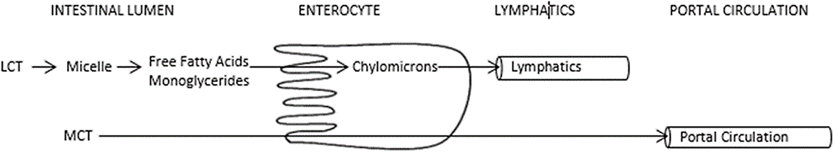 Nutritional management of postoperative chylothorax in children with ...