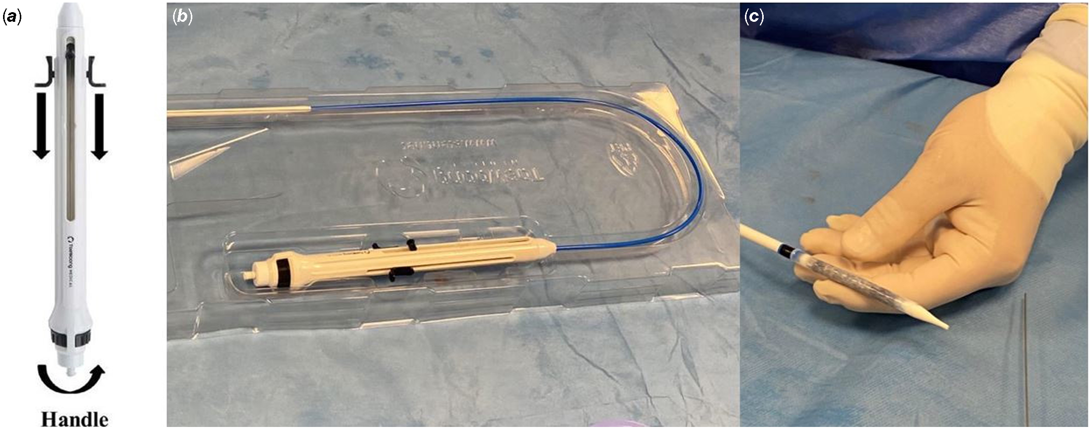 Early results of Pulsta® transcatheter heart valve in patients with ...