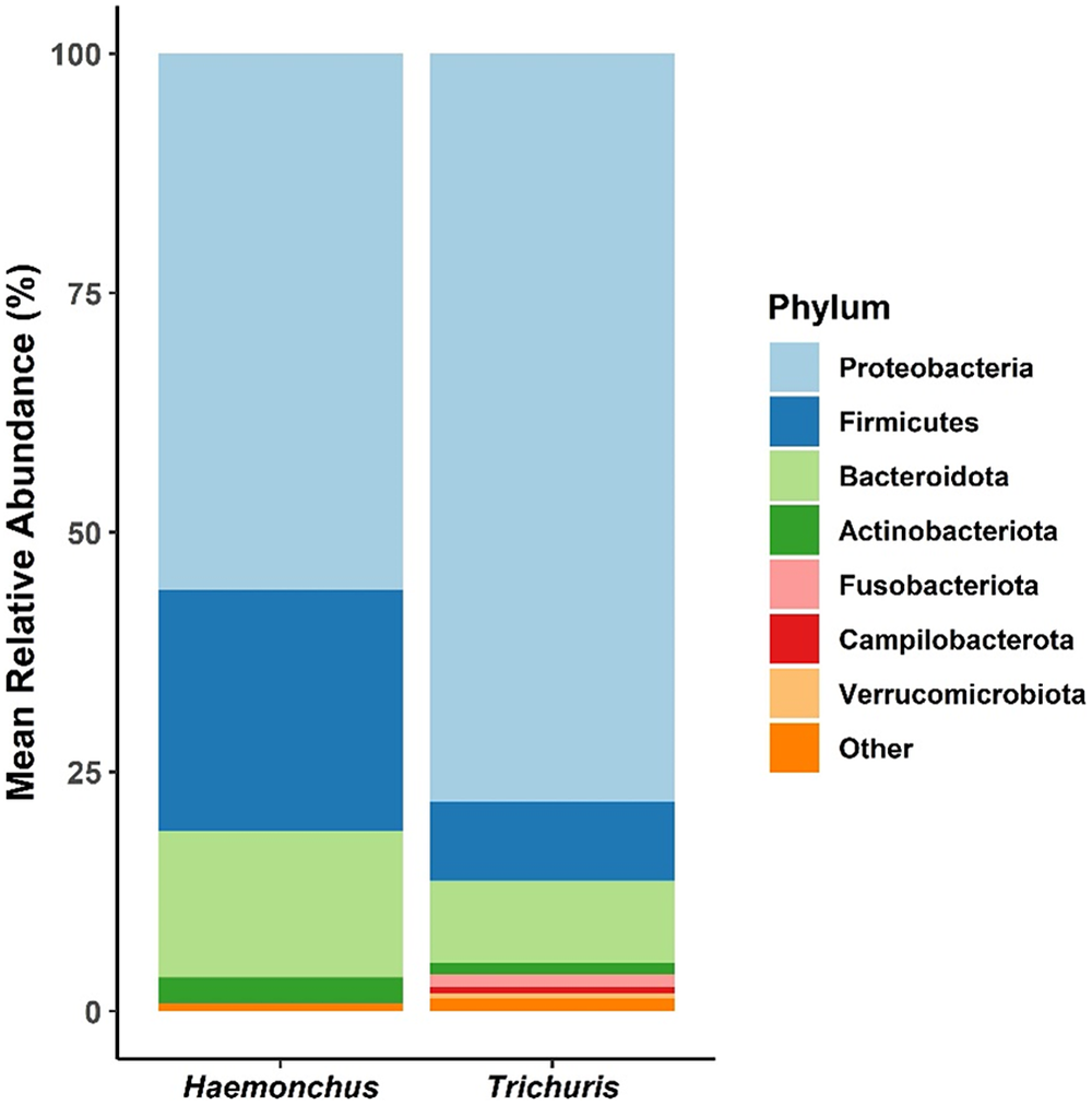 Bacteria associated with ovine gut parasites Trichuris ovis and ...