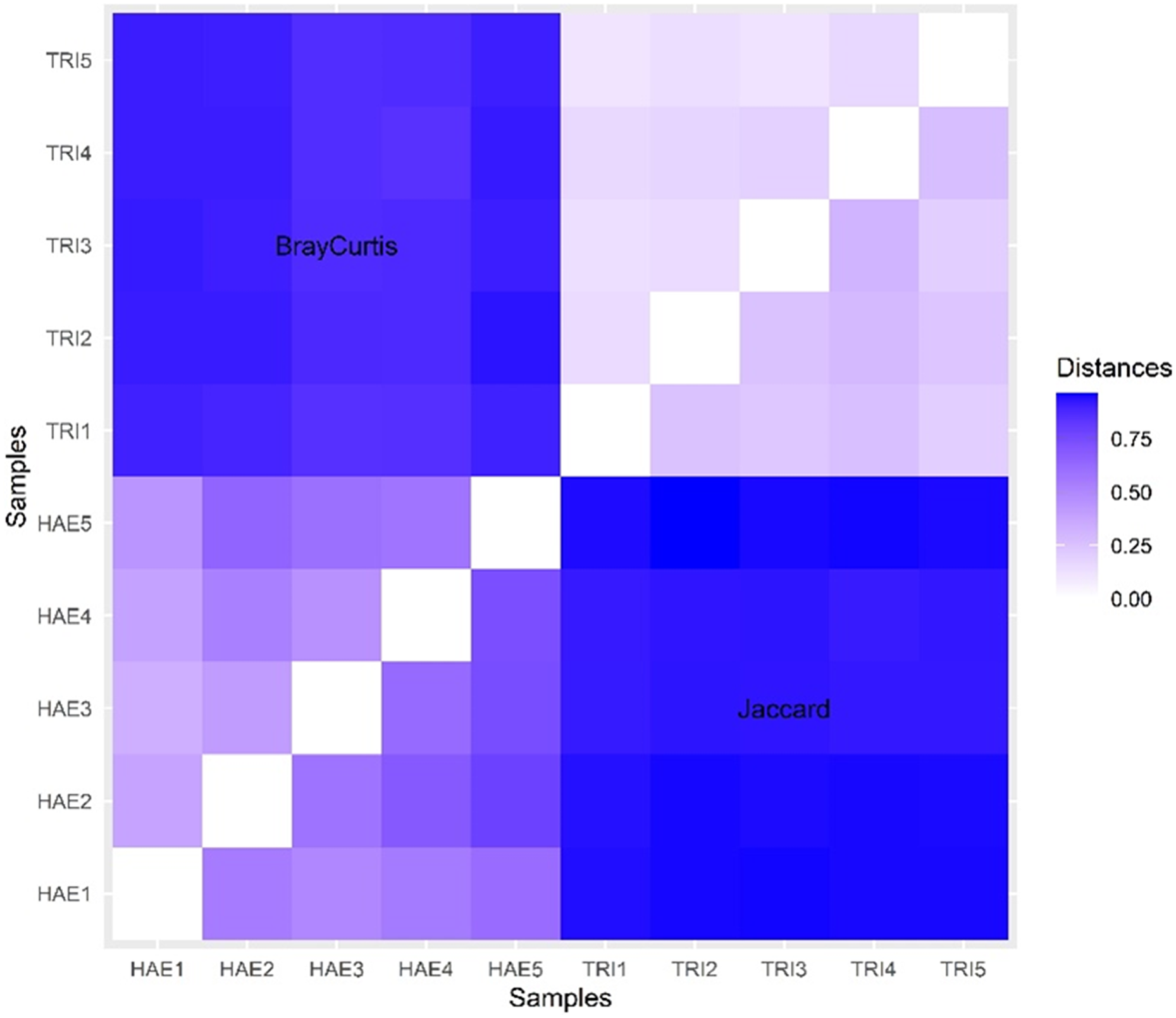 Bacteria associated with ovine gut parasites Trichuris ovis and ...
