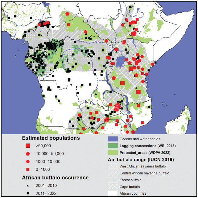 Conservation Status of the African Buffalo: A Continent-Wide Assessment ...