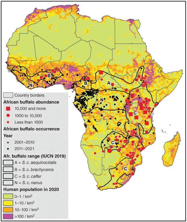 Conservation Status of the African Buffalo: A Continent-Wide Assessment ...