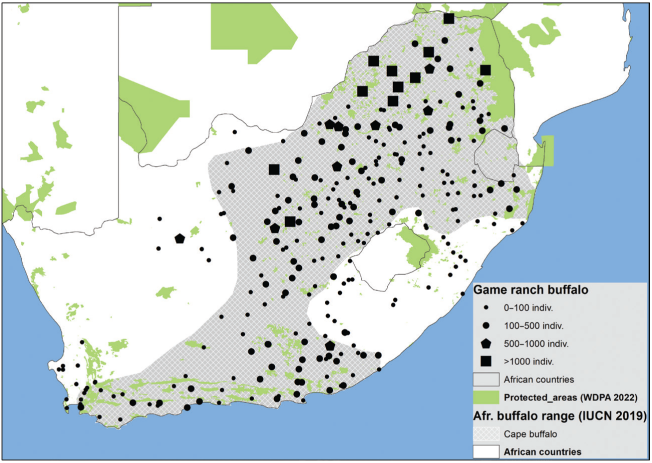 Conservation Status of the African Buffalo: A Continent-Wide Assessment ...