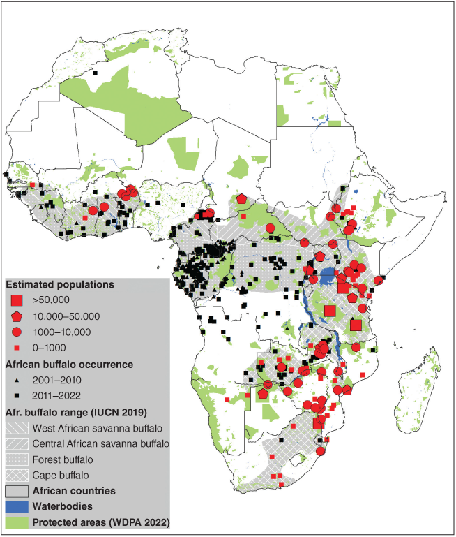 Conservation Status of the African Buffalo: A Continent-Wide Assessment ...