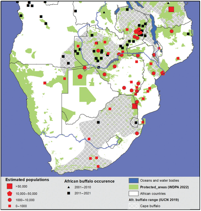 Conservation Status of the African Buffalo: A Continent-Wide Assessment ...