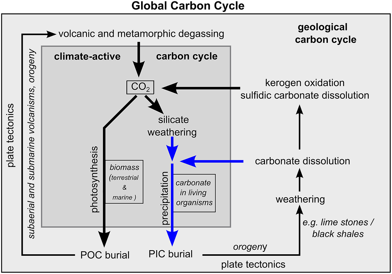 Past changes in and present status of the coastal carbon cycle ...