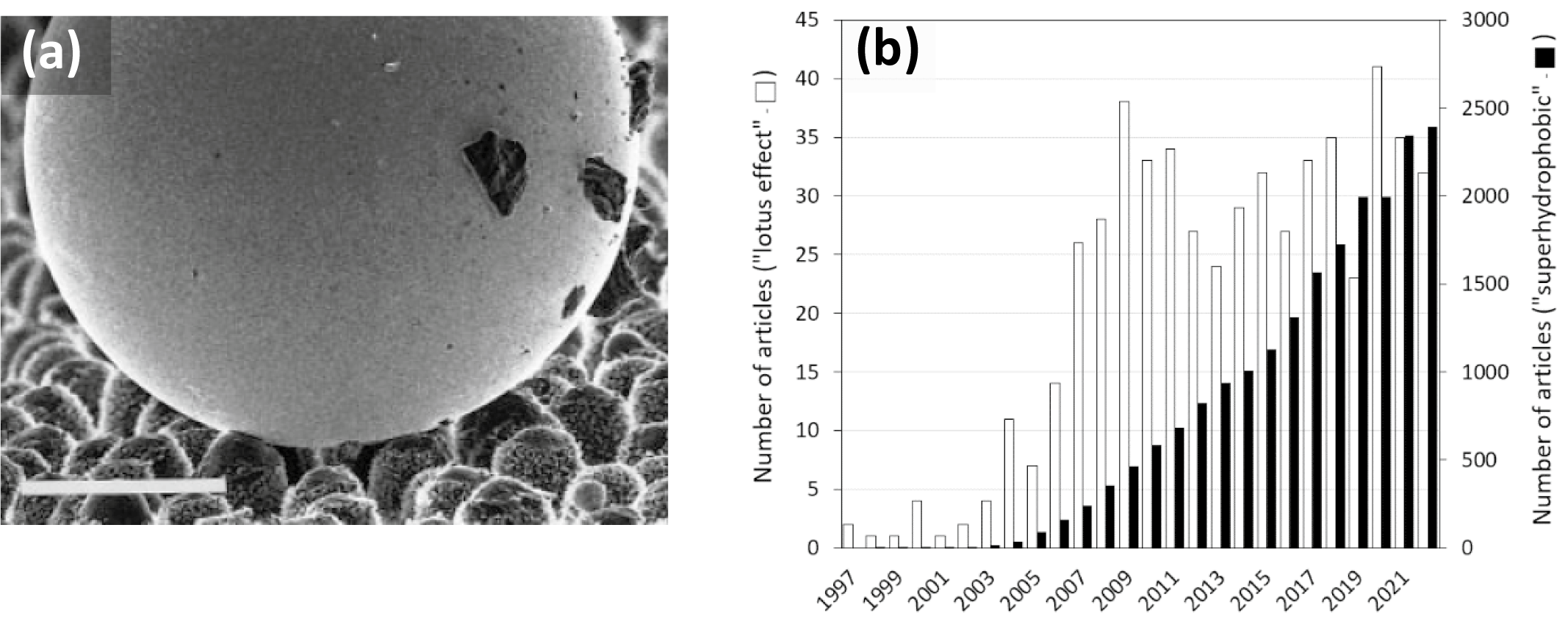 The Barthlott effect | Quantitative Plant Biology | Cambridge Core