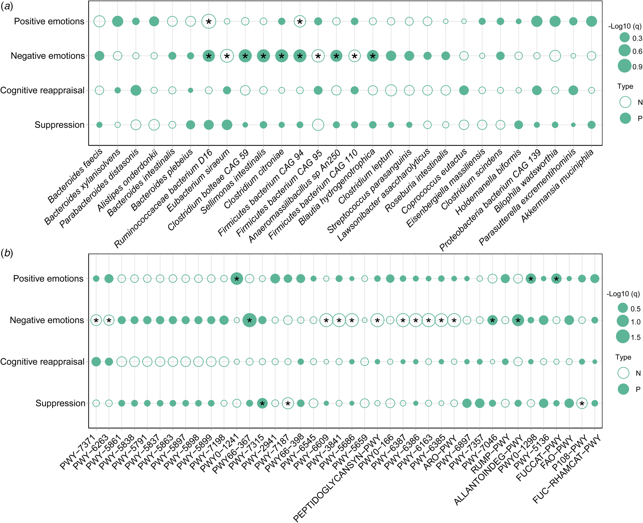 Gut feelings: associations of emotions and emotion regulation with the ...