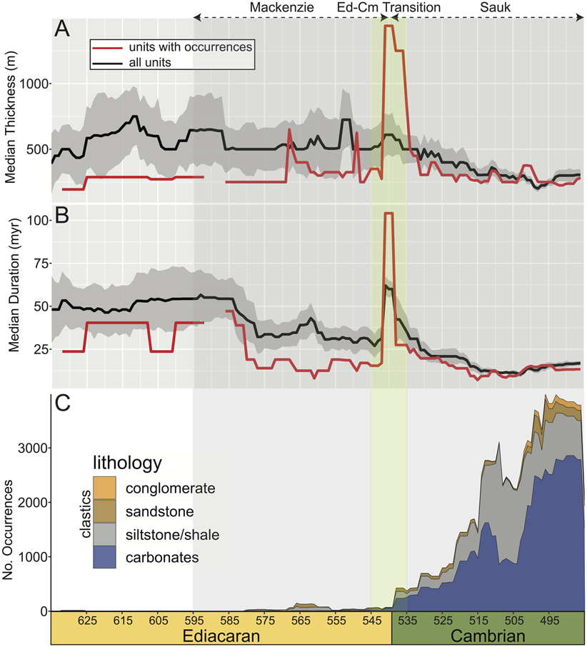 Transgression–regression cycles drive correlations in Ediacaran ...