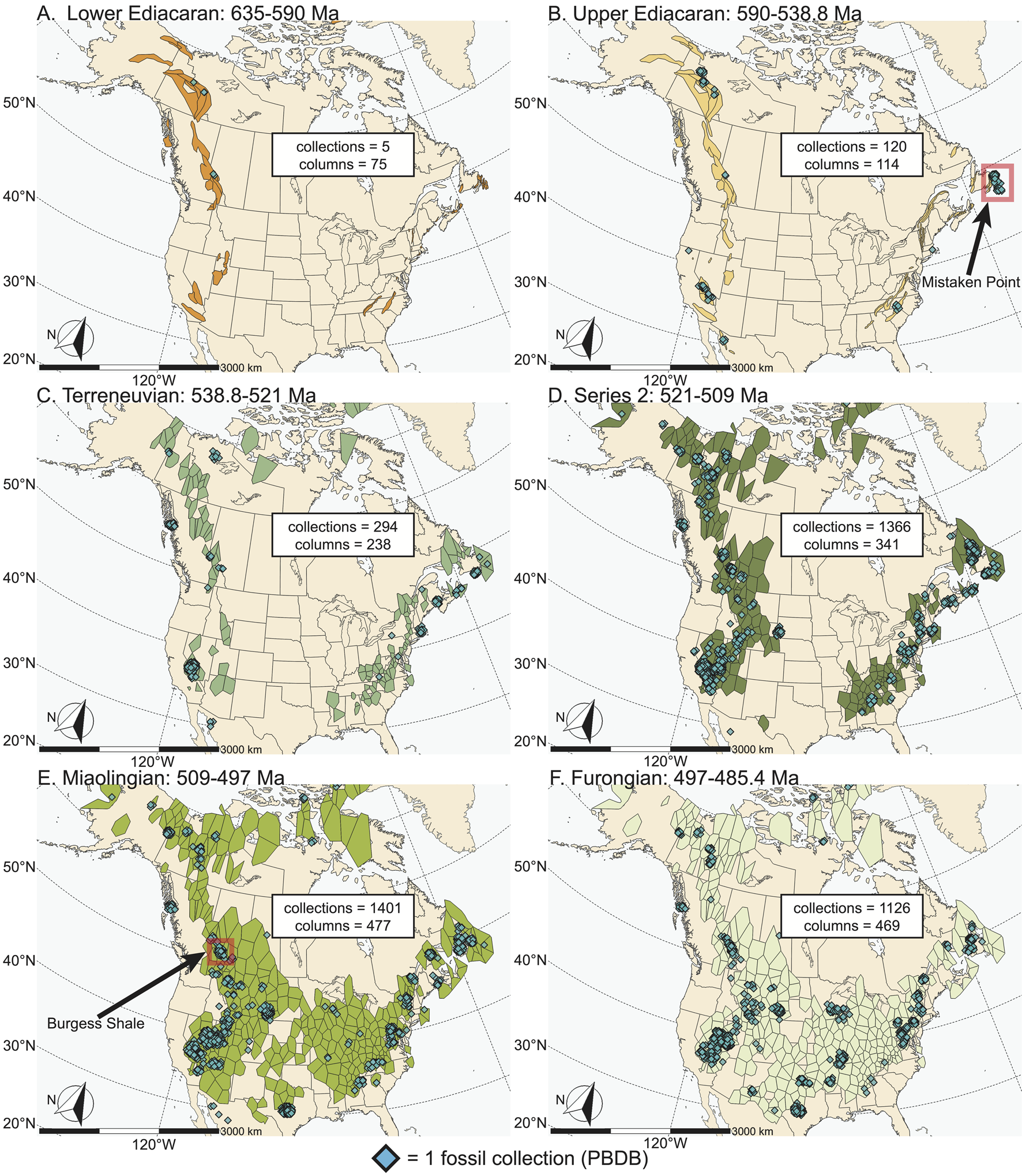 Transgression–regression cycles drive correlations in Ediacaran ...