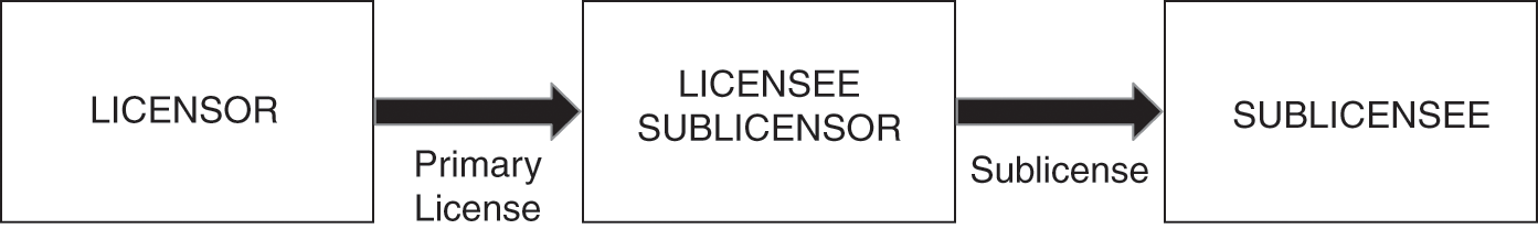 License Grant and Scope (Chapter 6) - Intellectual Property Licensing ...