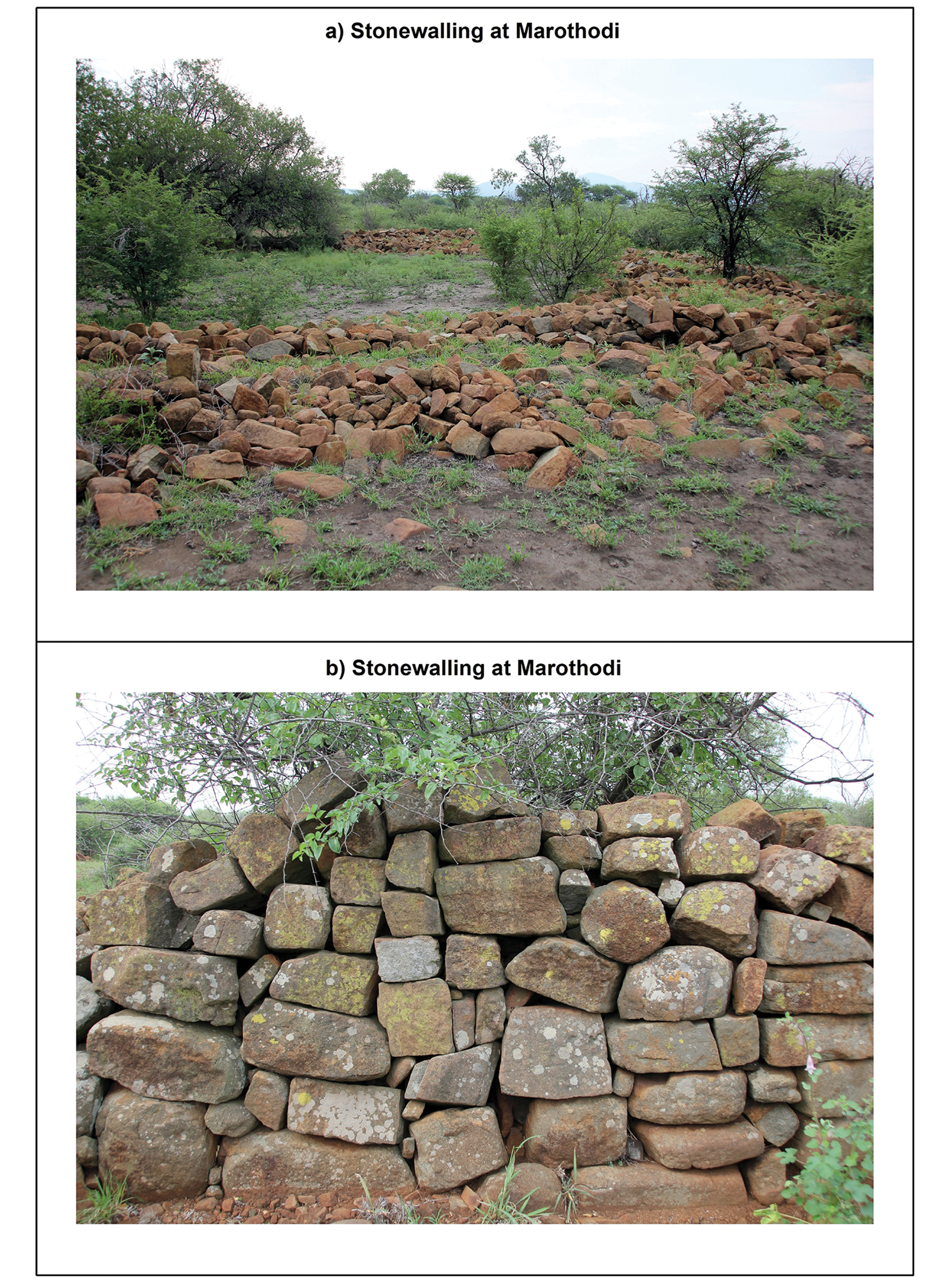 Inequality or insecurity? The case of pre-colonial farming communities ...