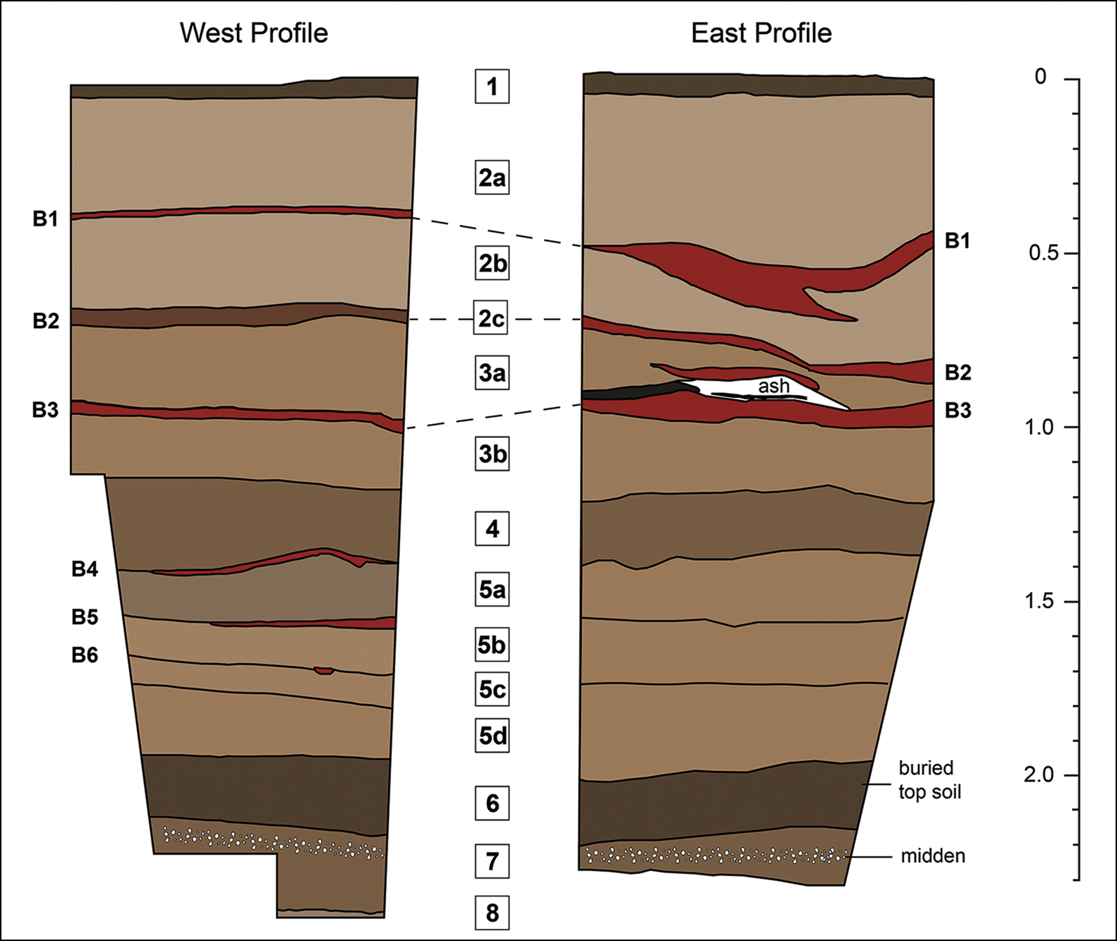 Early architecture in Tonga: implications for the development of ...