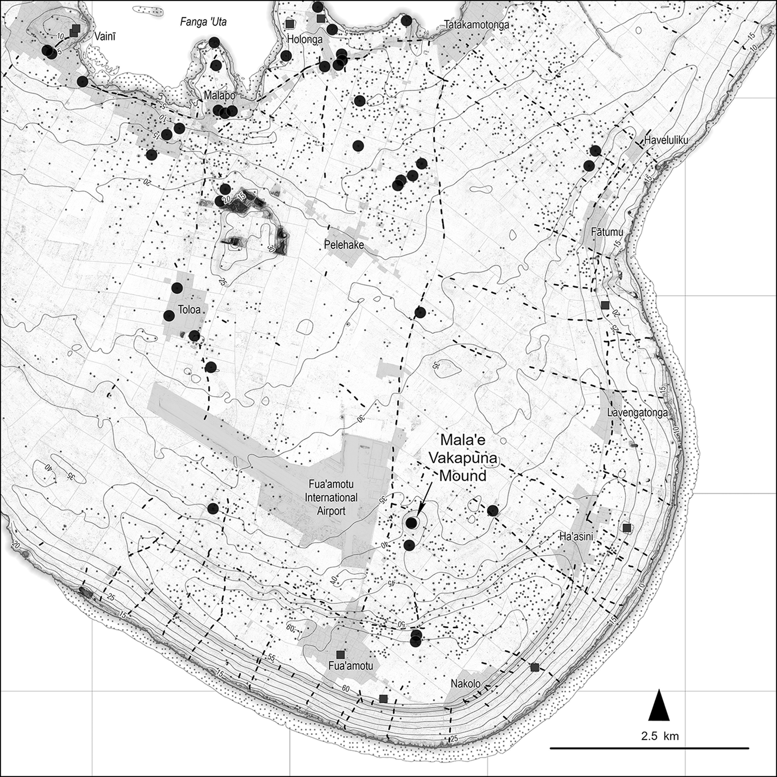 Early architecture in Tonga: implications for the development of ...