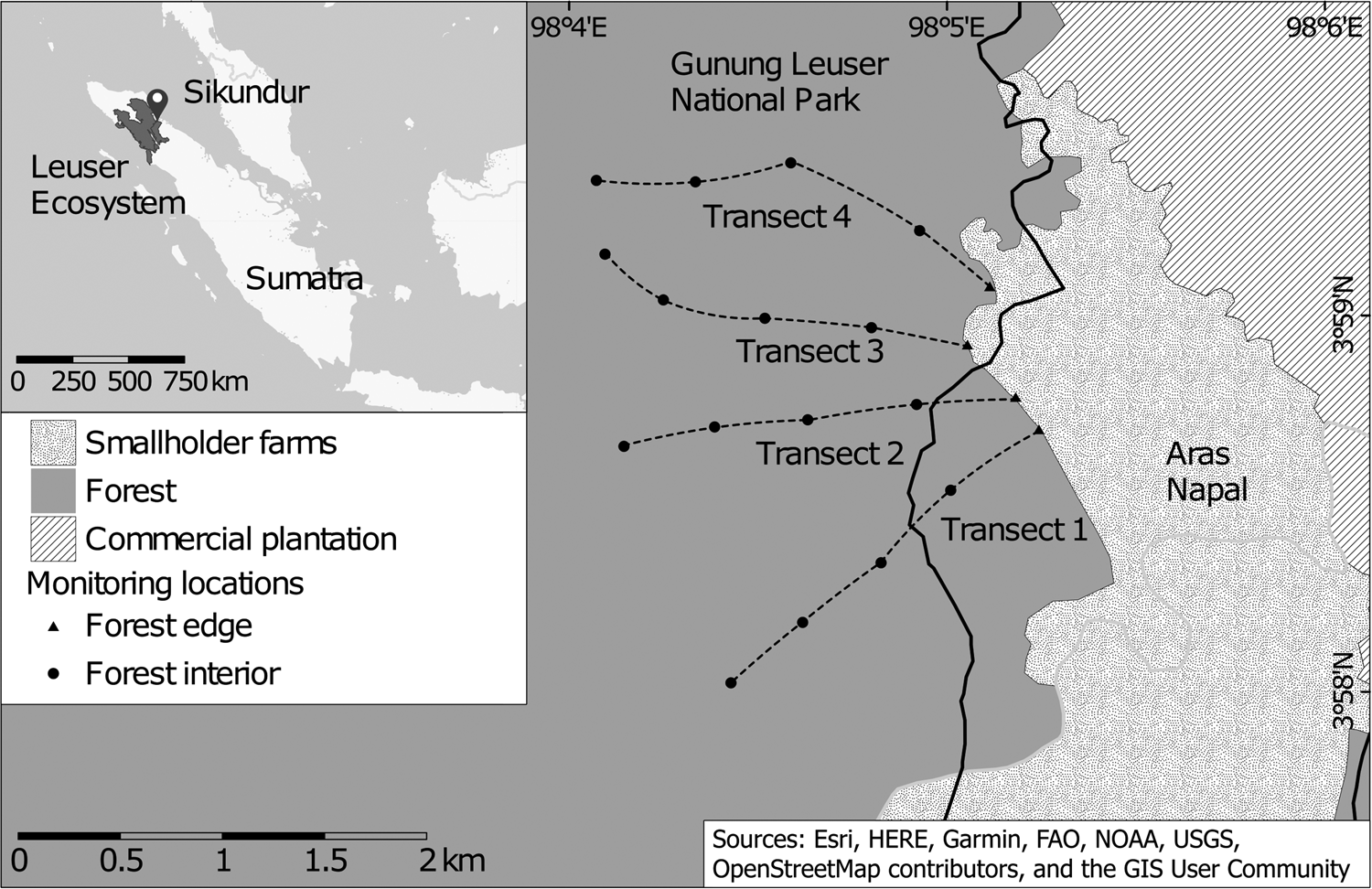 Living on the edge: forest edge effects on microclimate and terrestrial ...