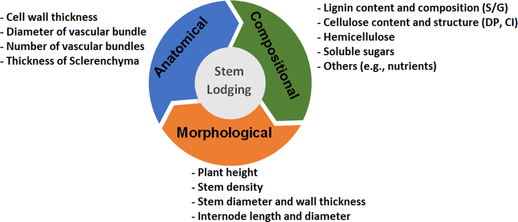 Effect of cell wall compositions on lodging resistance of cereal crops ...