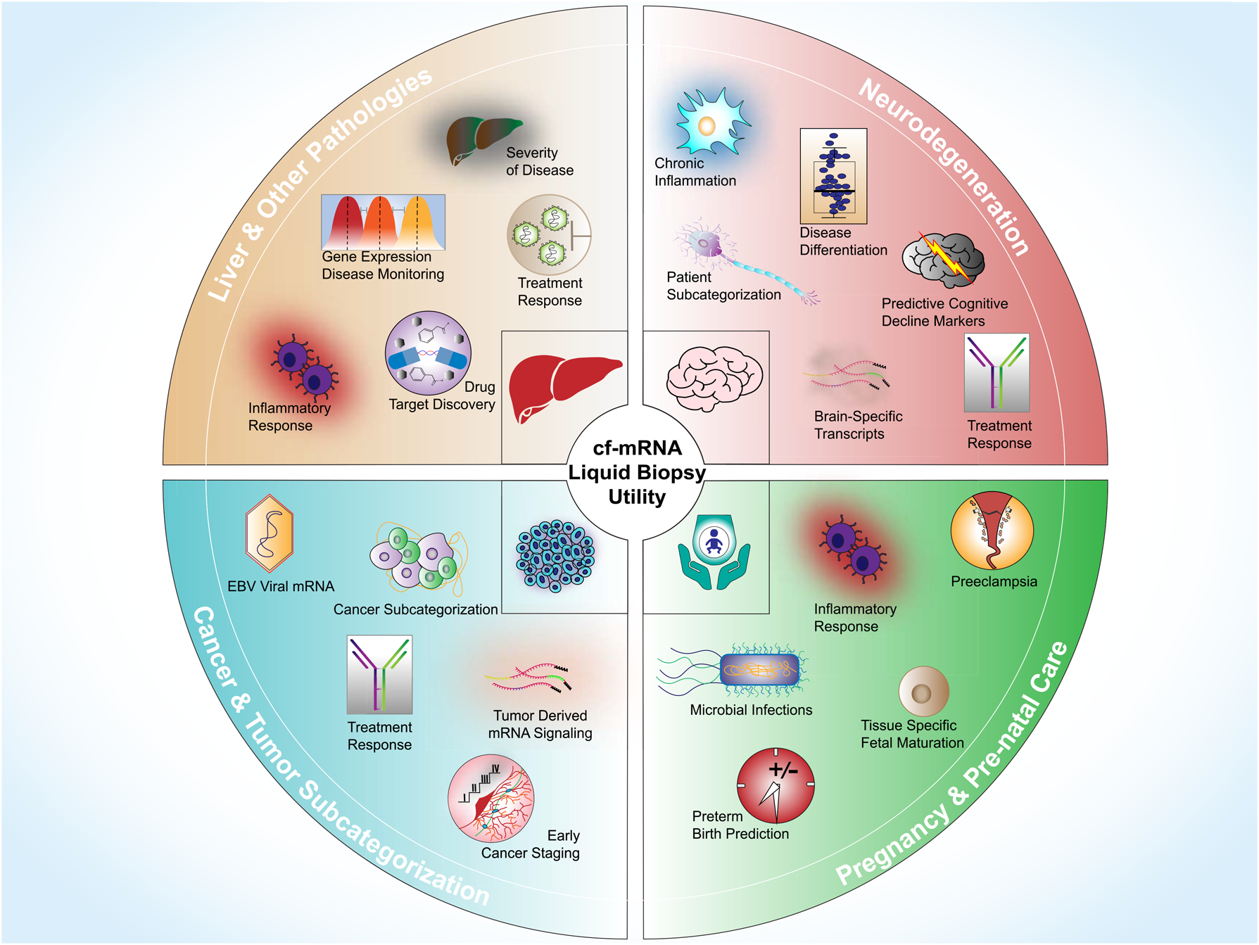 Decoding bioactive signals of the RNA secretome: the cell-free ...