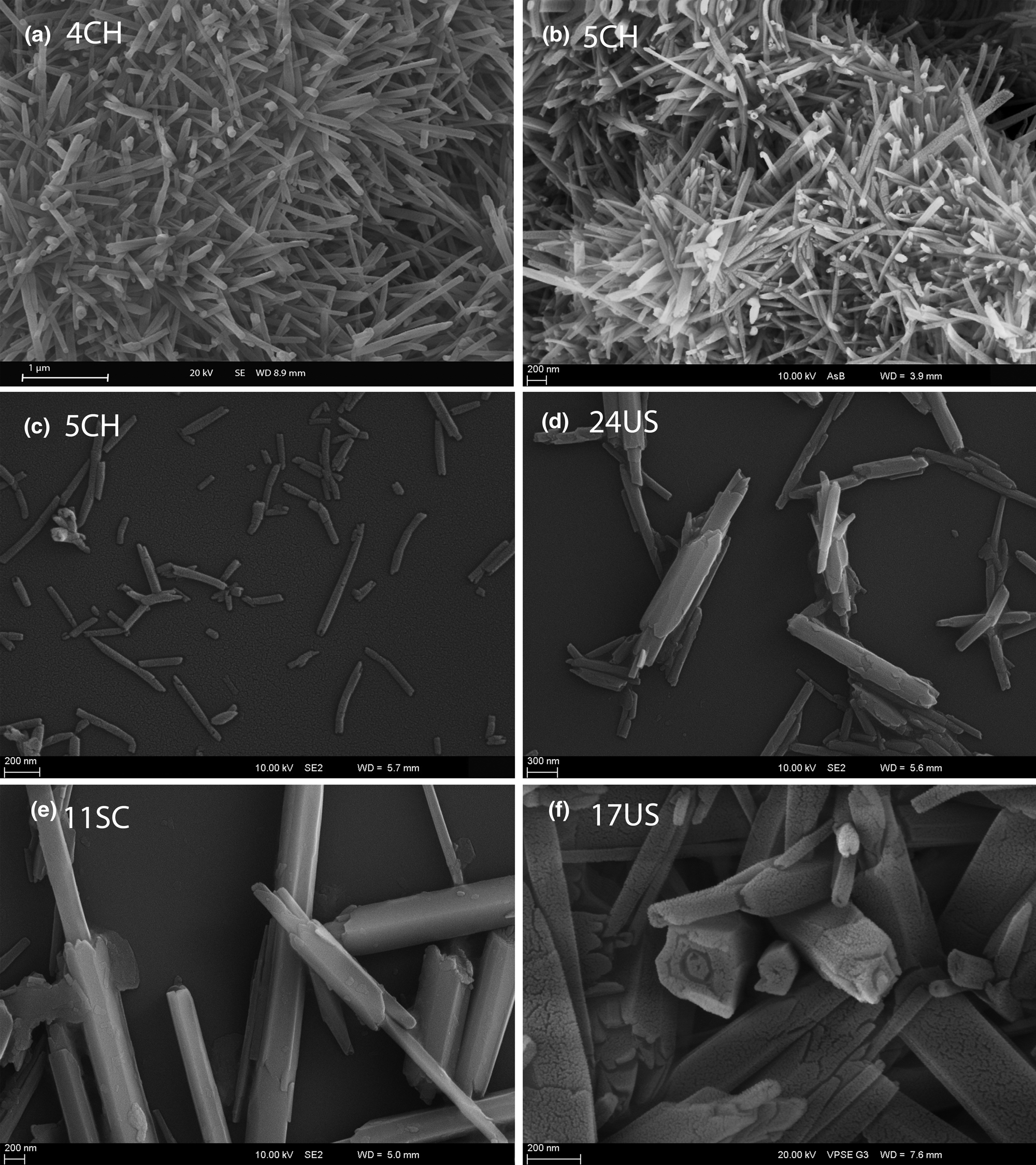 Morphological features of halloysite nanotubes as revealed by various ...